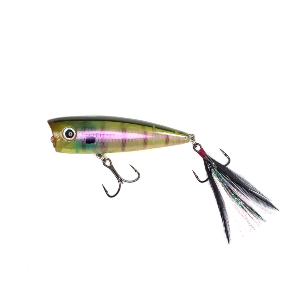 Tournament Proven Baits — XCITE BAITS